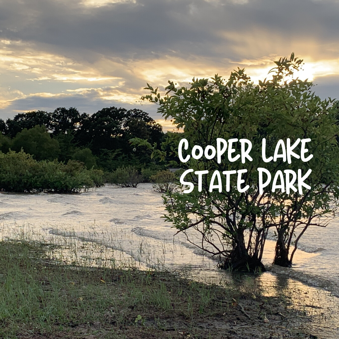 Cooper Lake State Park Consider The Wonders